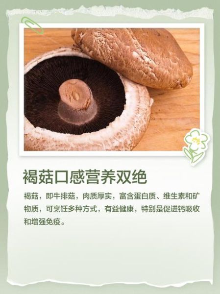 褐菇的功效与作用_褐菇怎么吃最营养-第3张图片-山城妙识