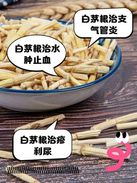 白茅根的功效与作用_白茅根能长期泡水喝吗-第3张图片-山城妙识
