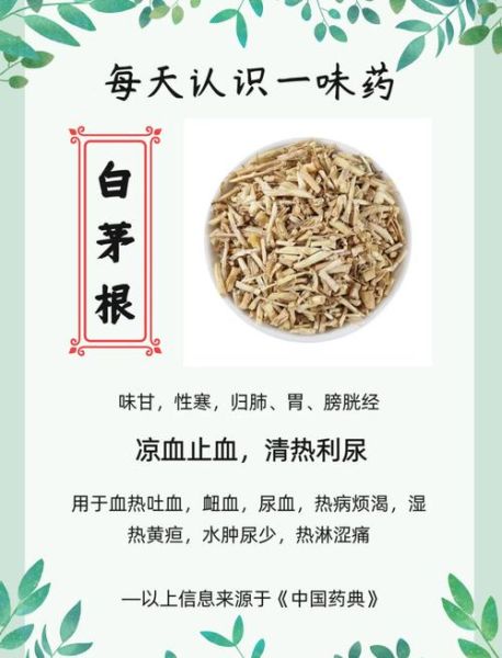 白茅根的功效与作用_白茅根能长期泡水喝吗-第1张图片-山城妙识