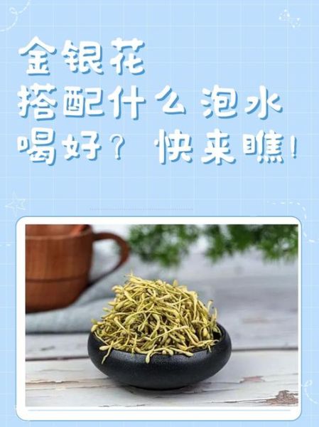 金银花图片功效和作用_金银花泡水喝有哪些禁忌-第2张图片-山城妙识