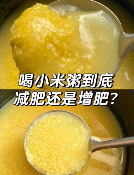 喝小米粥减肥靠谱吗_10天瘦15斤真相-第1张图片-山城妙识 喝小米粥减肥靠谱吗_10天瘦15斤真相-第1张图片-山城妙识