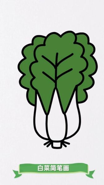 小白菜卡通可爱图片_怎么画-第2张图片-山城妙识