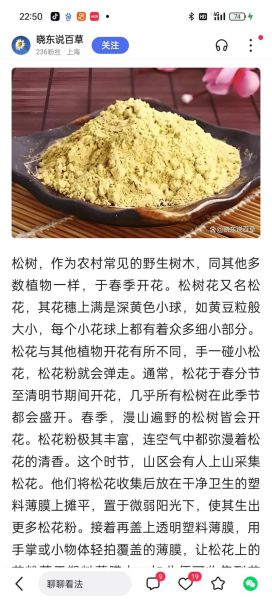 松花粉片的功效与作用_松花粉片怎么吃-第3张图片-山城妙识 松花粉片的功效与作用_松花粉片怎么吃-第3张图片-山城妙识