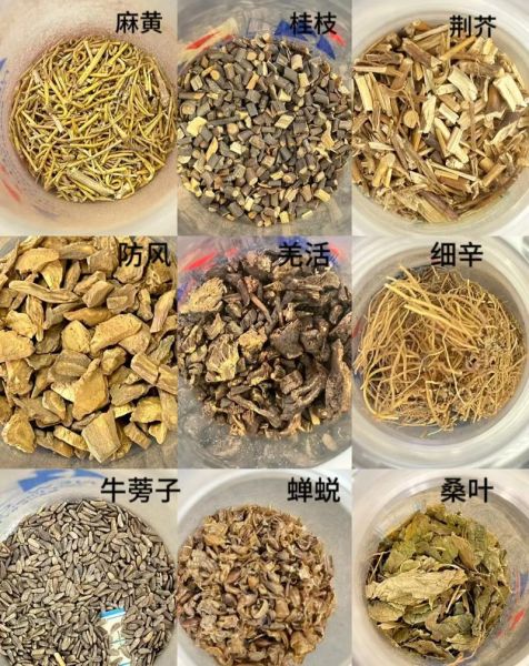 中药材大全_如何辨别真假-第1张图片-山城妙识