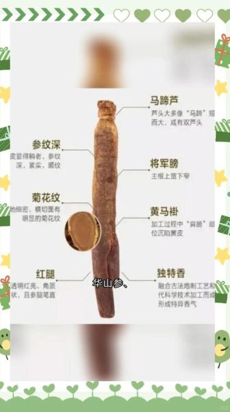 中药材大全_如何辨别真假-第3张图片-山城妙识