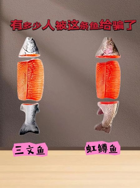 虹鳟鱼和三文鱼怎么区别_虹鳟鱼是三文鱼吗-第2张图片-山城妙识