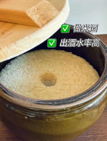 圆江米的营养价值_圆江米有哪些功效-第1张图片-山城妙识 圆江米的营养价值_圆江米有哪些功效-第1张图片-山城妙识