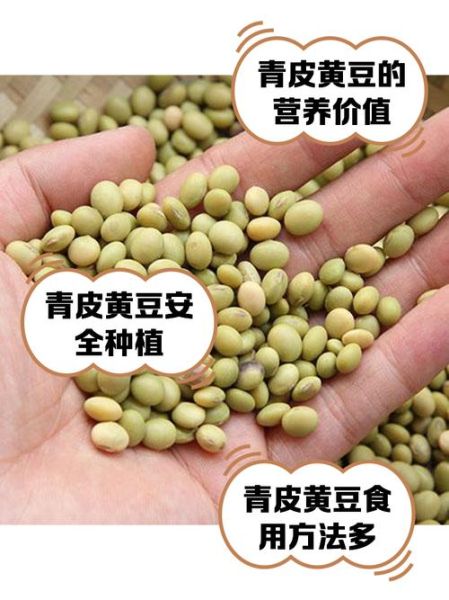 大豆和黄豆是一个东西吗_区别与营养价值对比-第3张图片-山城妙识