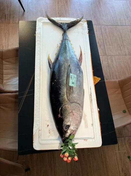 金枪鱼价格现在多少钱一斤_2024年最新行情-第3张图片-山城妙识 金枪鱼价格现在多少钱一斤_2024年最新行情-第3张图片-山城妙识