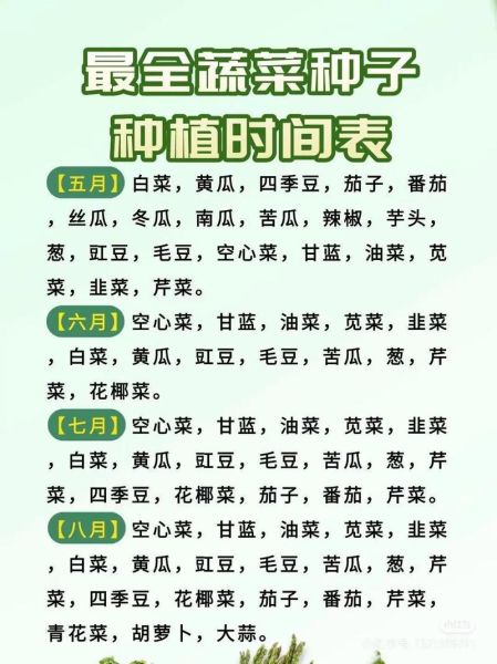 潺菜什么时候种_潺菜几月份种植最好-第2张图片-山城妙识