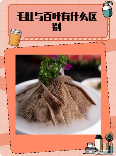 牛毛肚和牛百叶的区别_哪个更好吃-第3张图片-山城妙识