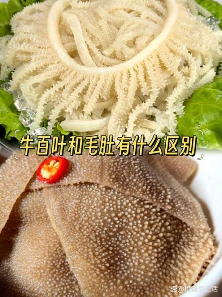 牛毛肚和牛百叶的区别_哪个更好吃-第1张图片-山城妙识