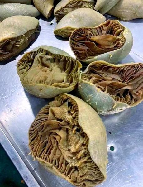 牛毛肚和牛百叶的区别_哪个更好吃-第2张图片-山城妙识