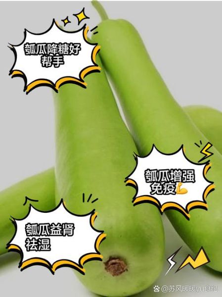 瓠瓜与什么食物相克_瓠瓜不能和什么一起吃-第2张图片-山城妙识
