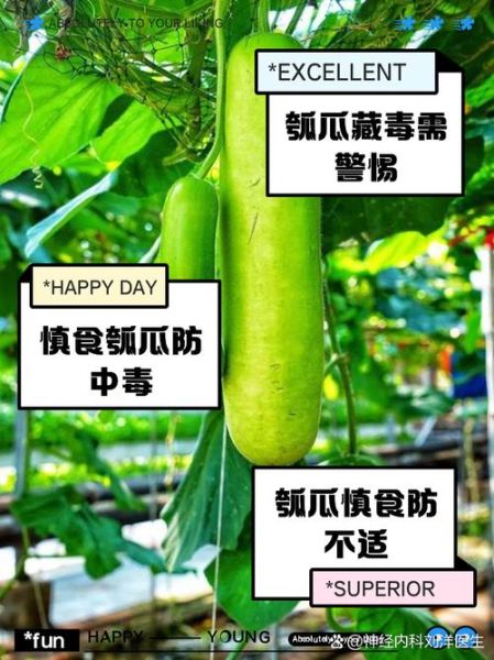 瓠瓜与什么食物相克_瓠瓜不能和什么一起吃-第3张图片-山城妙识