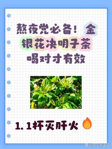 决明子配什么喝最好_决明子最佳搭配禁忌-第2张图片-山城妙识