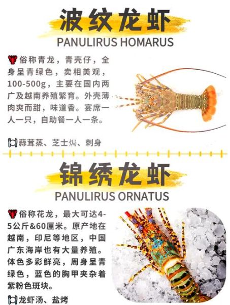 锦绣龙虾多少钱一斤_锦绣龙虾价格走势-第3张图片-山城妙识 锦绣龙虾多少钱一斤_锦绣龙虾价格走势-第3张图片-山城妙识
