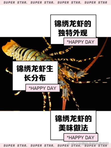 锦绣龙虾多少钱一斤_锦绣龙虾价格走势-第1张图片-山城妙识 锦绣龙虾多少钱一斤_锦绣龙虾价格走势-第1张图片-山城妙识