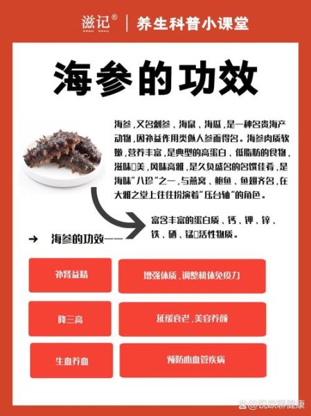 海参的营养价值_适合哪些人吃-第1张图片-山城妙识