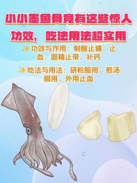 小墨鱼怎么养_小墨鱼吃什么-第1张图片-山城妙识