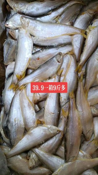 马口鱼的营养价值_马口鱼的功效与作用-第3张图片-山城妙识