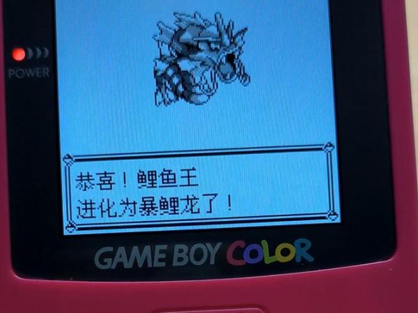 鲤鱼王多少级进化_鲤鱼王进化等级是多少-第3张图片-山城妙识