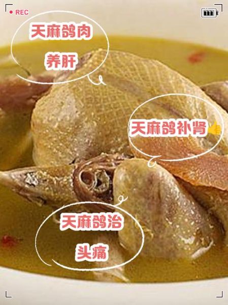 天麻炖鸽子小孩能吃吗_儿童用量与禁忌-第3张图片-山城妙识