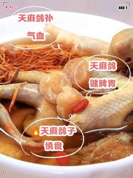 天麻炖鸽子小孩能吃吗_儿童用量与禁忌-第2张图片-山城妙识