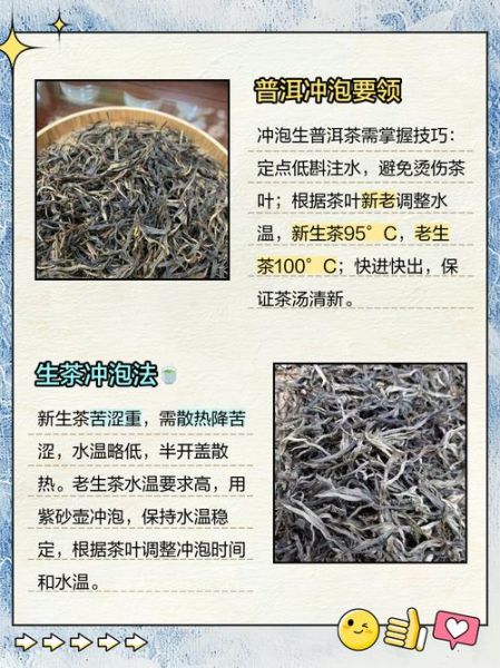 生普洱存放几年最好喝_生普最佳品饮期-第2张图片-山城妙识