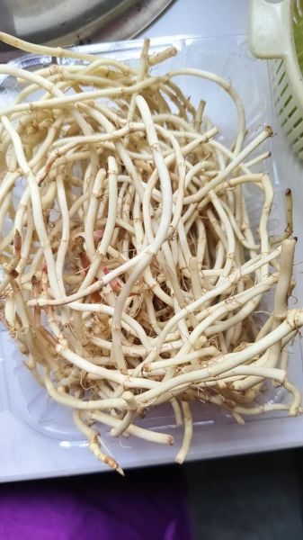 鱼腥草怎么凉拌好吃_鱼腥草的做法大全-第2张图片-山城妙识