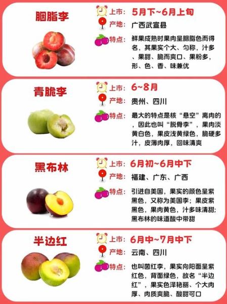 中国十大顶级水果有哪些_为什么价格这么高-第1张图片-山城妙识