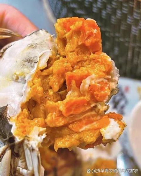 阳澄湖大闸蟹在哪买_如何辨别正宗产地-第2张图片-山城妙识