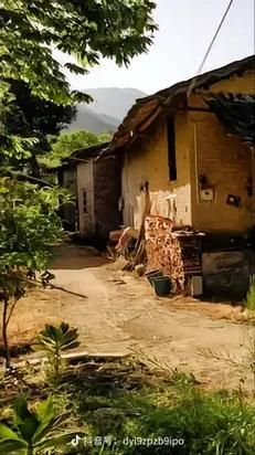 小白菜泪汪汪全集30_小白菜泪汪汪30集剧情解析-第1张图片-山城妙识 小白菜泪汪汪全集30_小白菜泪汪汪30集剧情解析-第1张图片-山城妙识