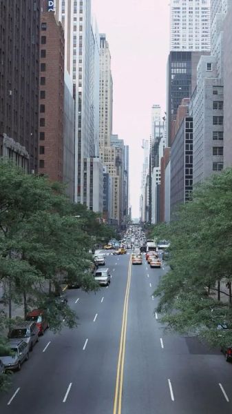 小白菜泪汪汪全集30_小白菜泪汪汪30集剧情解析-第3张图片-山城妙识 小白菜泪汪汪全集30_小白菜泪汪汪30集剧情解析-第3张图片-山城妙识