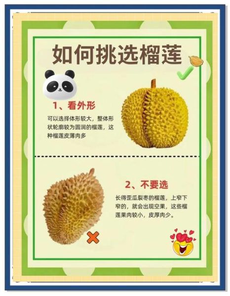榴莲怎么挑选好吃_榴莲怎么判断熟没熟-第3张图片-山城妙识