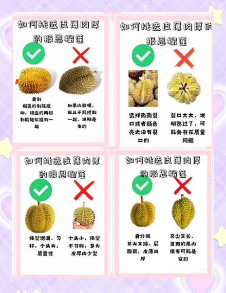 榴莲怎么挑选好吃_榴莲怎么判断熟没熟-第2张图片-山城妙识