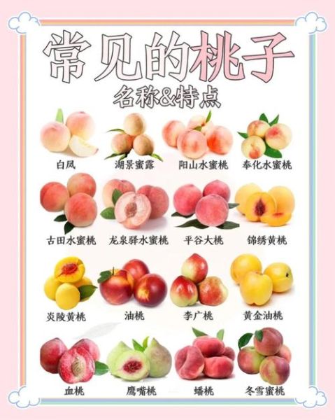 哪些人不宜吃桃子_桃子过敏人群能吃吗-第2张图片-山城妙识