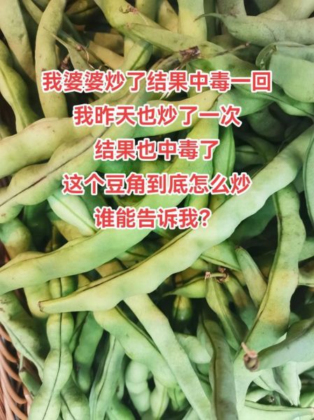 梅豆角没炒熟会中毒吗_梅豆角中毒症状-第3张图片-山城妙识