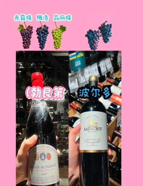 法国红酒怎么选_波尔多和勃艮第区别-第2张图片-山城妙识