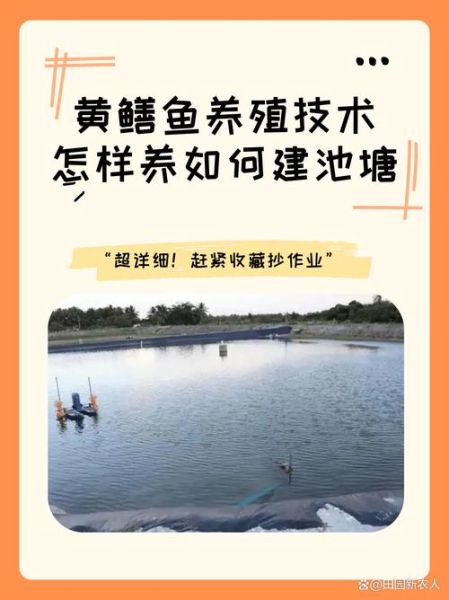 黄鳝养殖技术有哪些_如何提高成活率-第1张图片-山城妙识
