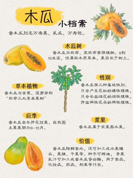 生木瓜能吃吗_生木瓜怎么吃才安全-第3张图片-山城妙识