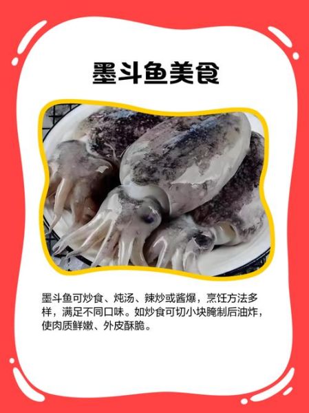 墨斗鱼怎么养_墨斗鱼吃什么长得快-第3张图片-山城妙识