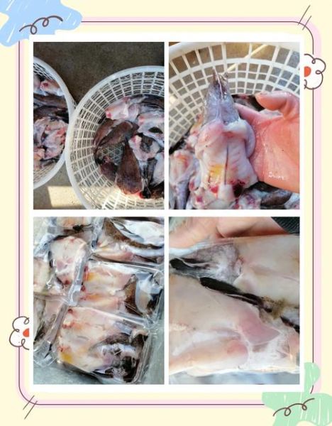 深海安康鱼有毒吗_深海安康鱼怎么吃-第2张图片-山城妙识