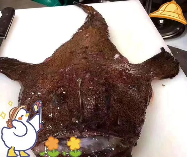 深海安康鱼有毒吗_深海安康鱼怎么吃-第3张图片-山城妙识
