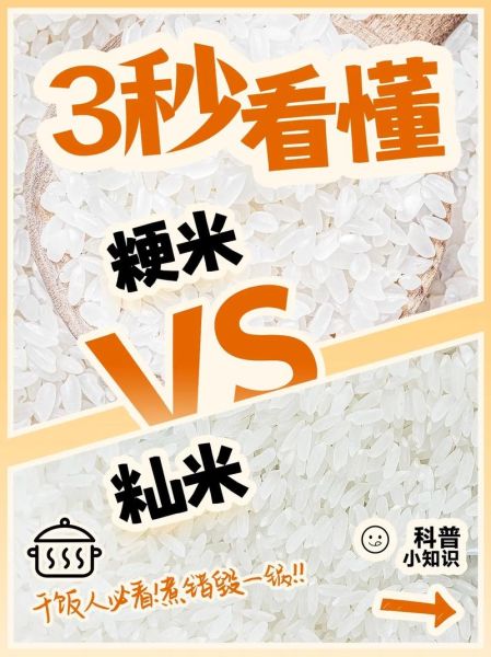 籼怎么读拼音_籼米与粳米的区别-第1张图片-山城妙识