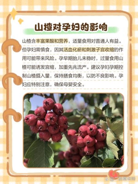 山楂吃了5天流产了_孕妇吃山楂会流产吗-第1张图片-山城妙识