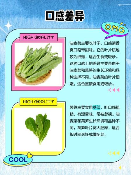 莴笋叶子和油麦菜的区别_哪个更营养-第1张图片-山城妙识