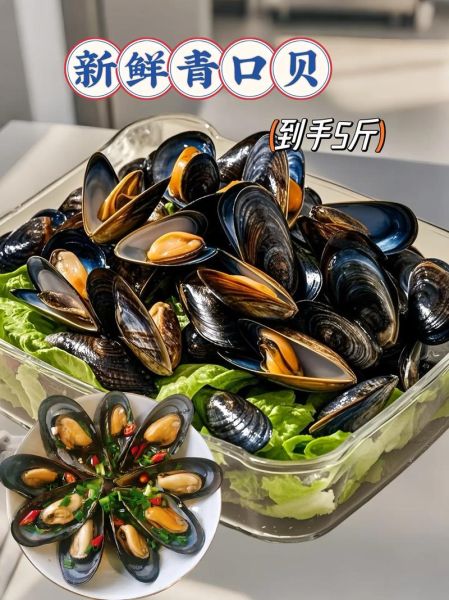 贻贝和青口贝的区别_贻贝是青口贝吗-第1张图片-山城妙识