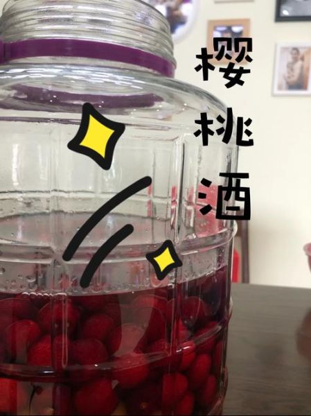 家庭樱桃酒怎么做_樱桃酒发酵多久能喝-第3张图片-山城妙识