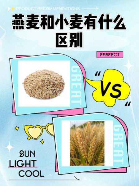 燕麦和小麦哪个更有营养_燕麦和小麦的区别营养-第1张图片-山城妙识